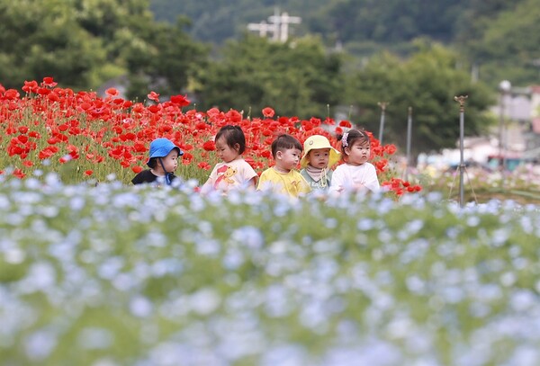 김용만 사진작가, 상림공원에서 童心을 찍다