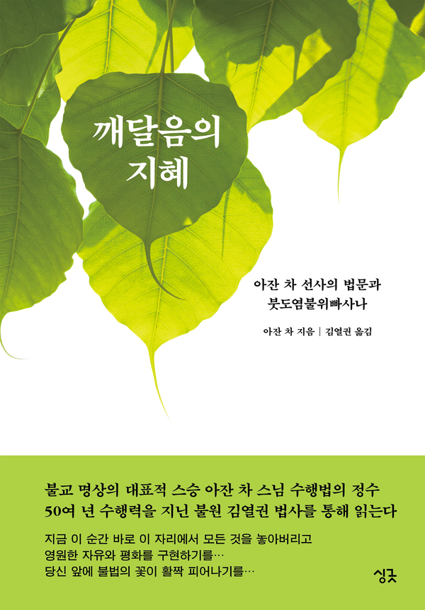 2억8천만원 짜리 감나무