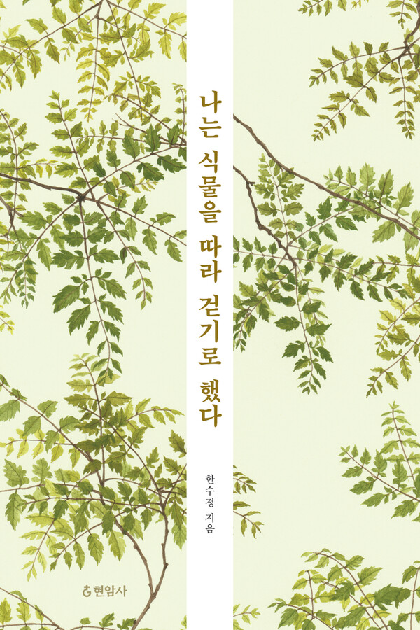 김용만 사진작가 포토갤러리 "곶감"