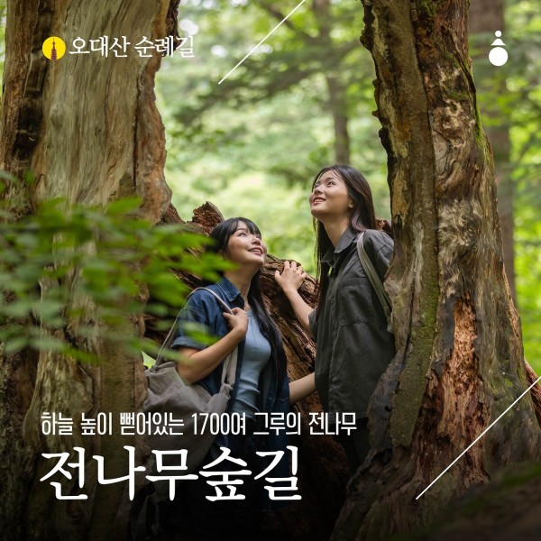 거창신원출신 임상섭 산림청장, 신혼부부와 "전나무"를 심다