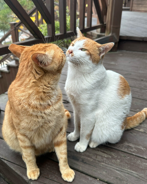 주말특집⁃거창군 마리면 "하고리 카페"를 아시나요?