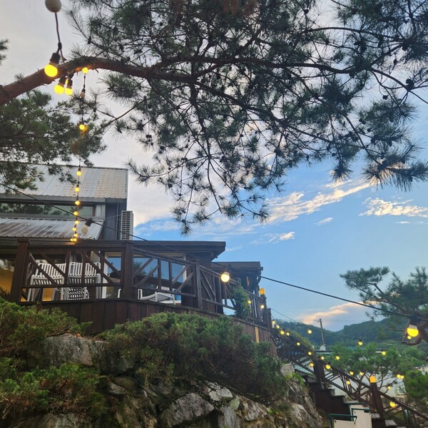 주말특집⁃거창군 마리면 "하고리 카페"를 아시나요?