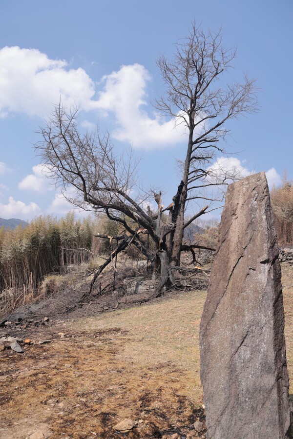 환경운동가 최상두 페이스북