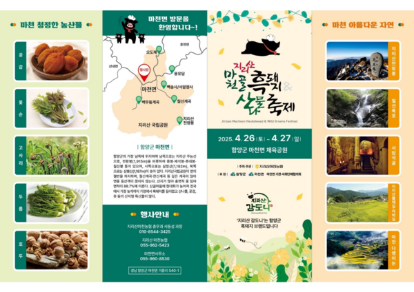 봄나물의 여왕 '옻순’